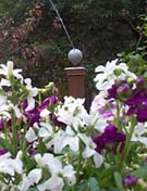 AccuRain Watering System, Sprinkler System, Lawn Sprinkler, Irrigation System